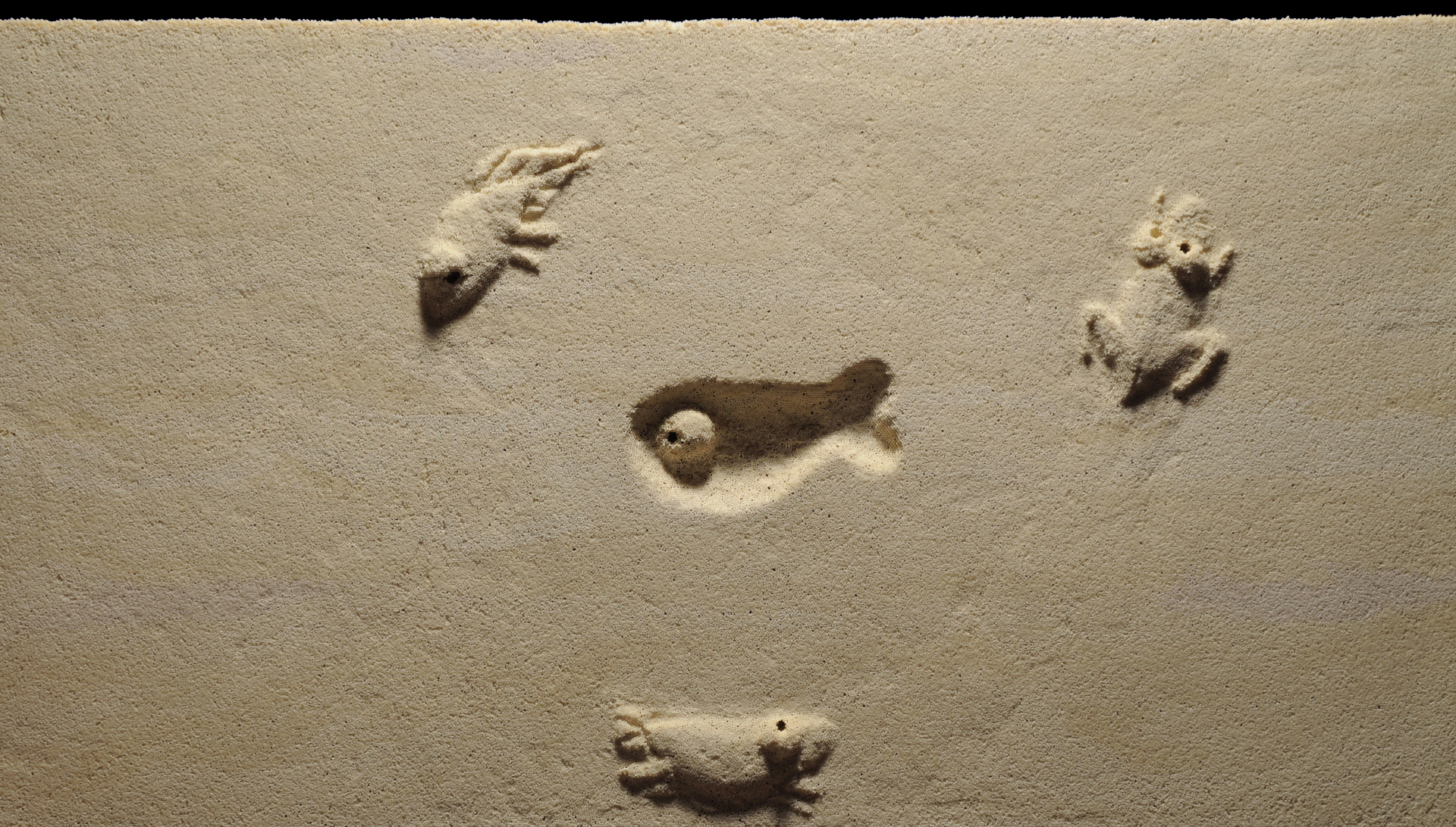 Noodle Fish (Omogeo)